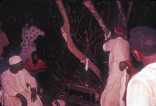 Onyejekwe Ije-Udo & "Crowning" - A Mighty Tree