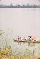 Visit to Opobo, December 1961 - A Mighty Tree