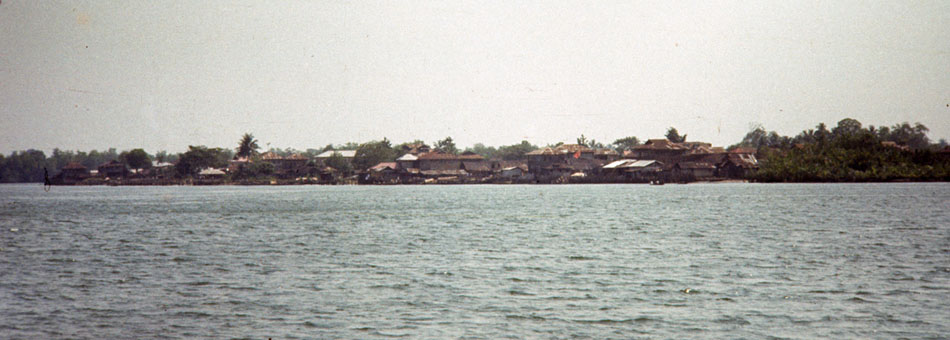 Visit to Opobo, December 1961 - A Mighty Tree