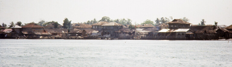 Visit to Opobo, December 1961 - A Mighty Tree