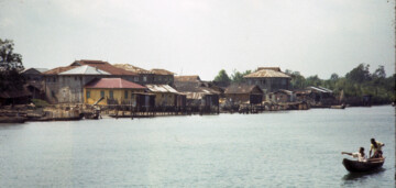 Visit to Opobo, December 1961 - A Mighty Tree