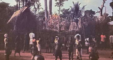 Visiting Awkuzu (pre- & post- Civil War) - A Mighty Tree