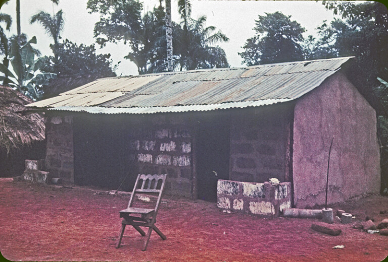 Visiting Awkuzu (pre- & post- Civil War) - A Mighty Tree