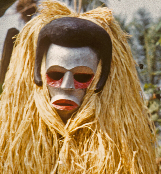 Visiting Awkuzu (pre- & post- Civil War) - A Mighty Tree