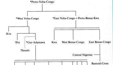 Pre-historic Roots of the Igbo Language - A Mighty Tree